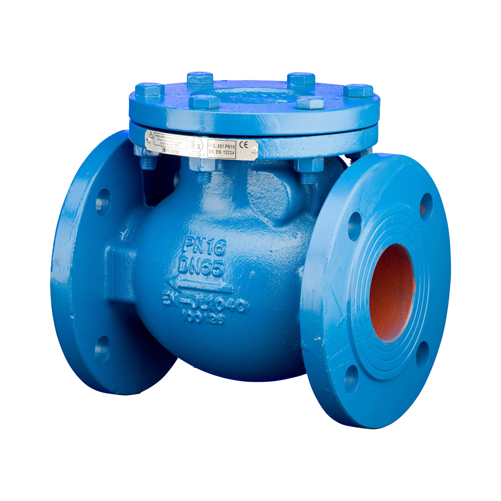 Hattersley Fig M651 PN16 Swing Check Valve — Safety Valves Online