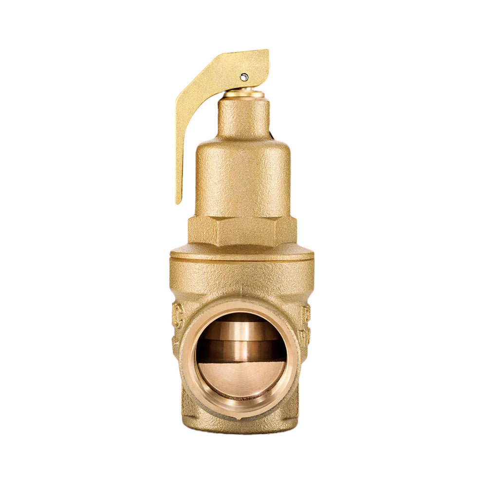 NABIC 542 Safety Relief Valve — Safety Valves Online