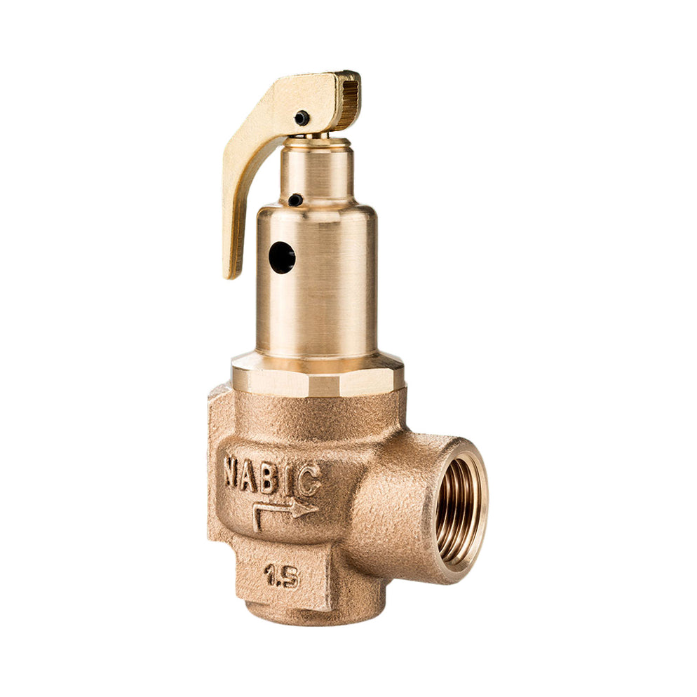 NABIC 542 Safety Relief Valve — Safety Valves Online