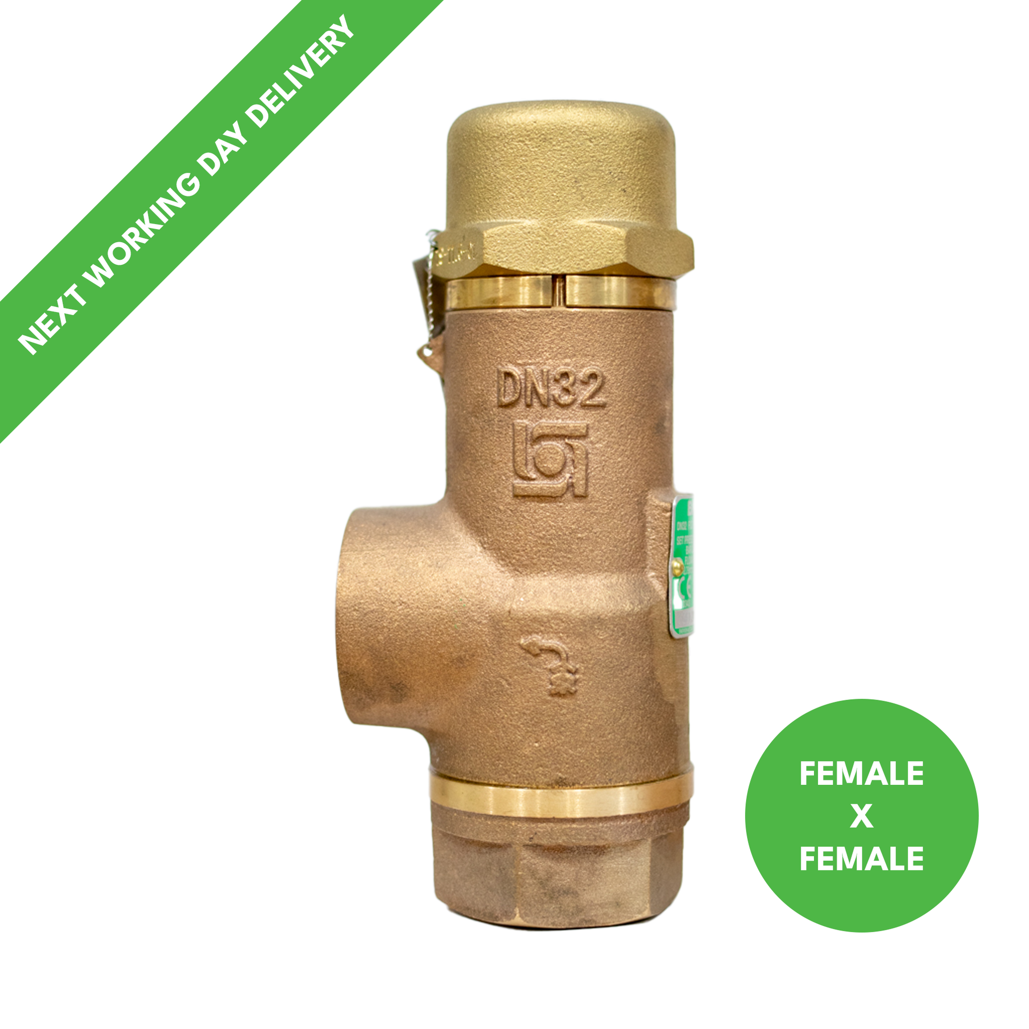 Bailey 707ED Safety Relief Valve Female x Female (EDPM disk with Dome ...