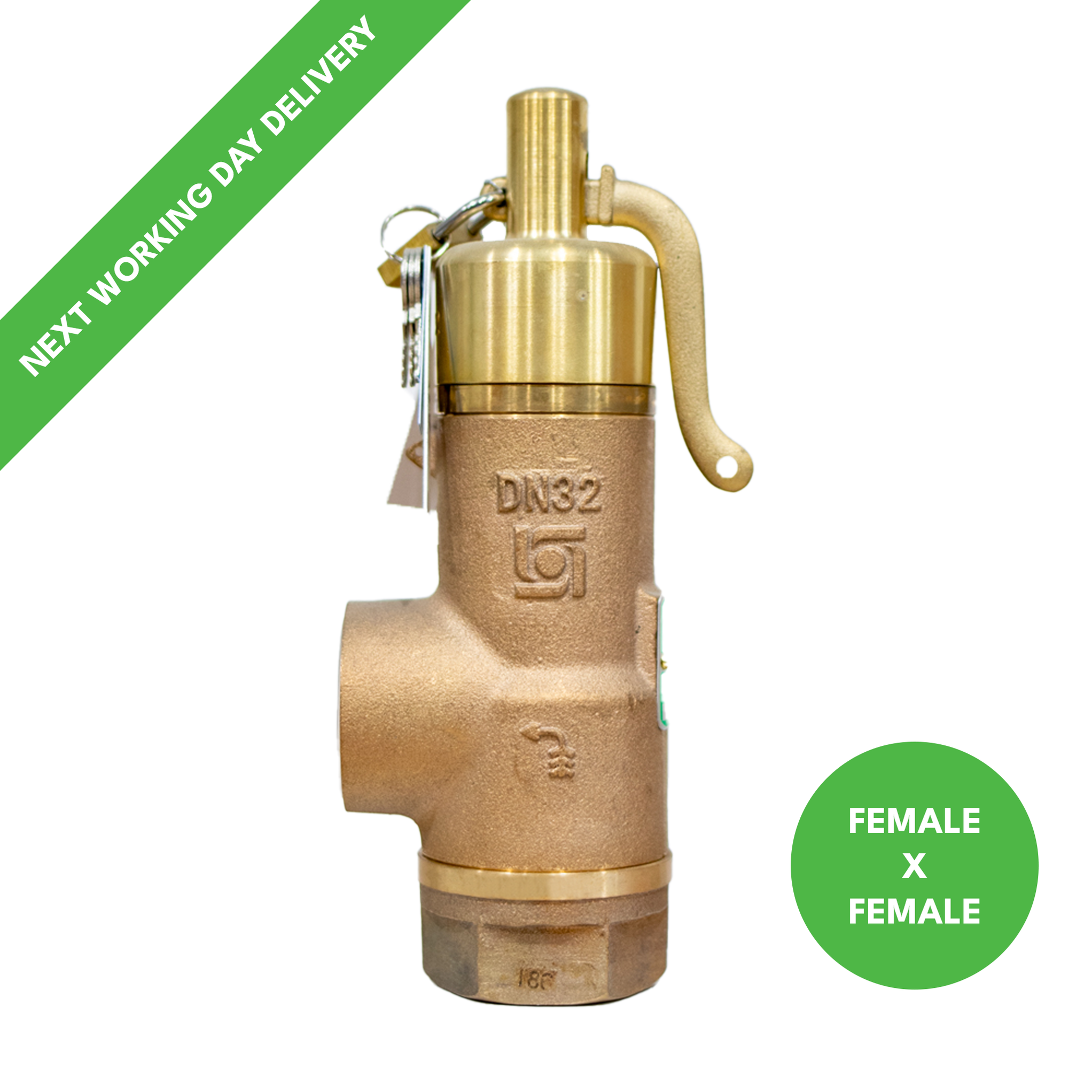 Bailey 707VL Safety Relief Valve Female x Female (AFLAS disk with Leve ...