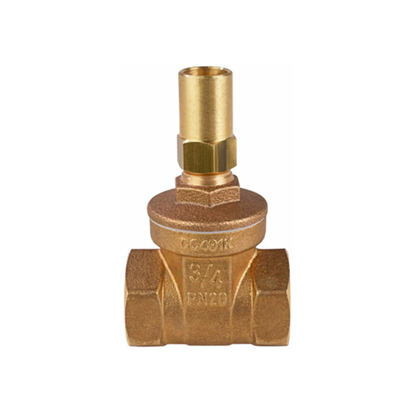 Reliance RWC 1.1/4" (DN32) FBSP Bronze Gate Valve Lockshield Operated ...